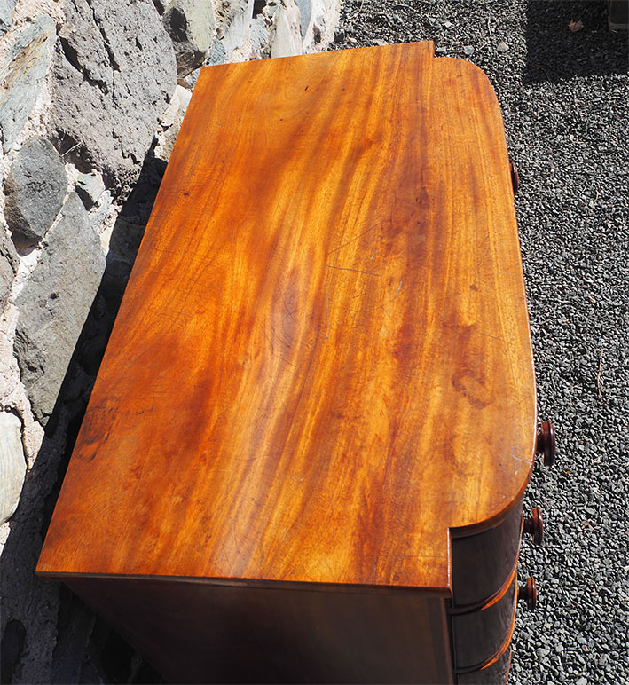 19th Century Mahogany Chest of Drawers | Regency Barrel Style